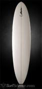 Surftech Roxy - Egg Beater Surfboard Review at SurfScience.com