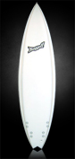 Larry Mabile Twinzer Fish Surfboard Review at SurfScience.com