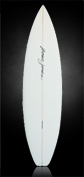 Larry Mabile Twinzer Fish Surfboard Review at SurfScience.com