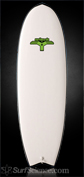 Surftech Mac Fish Surfboard Review at SurfScience.com